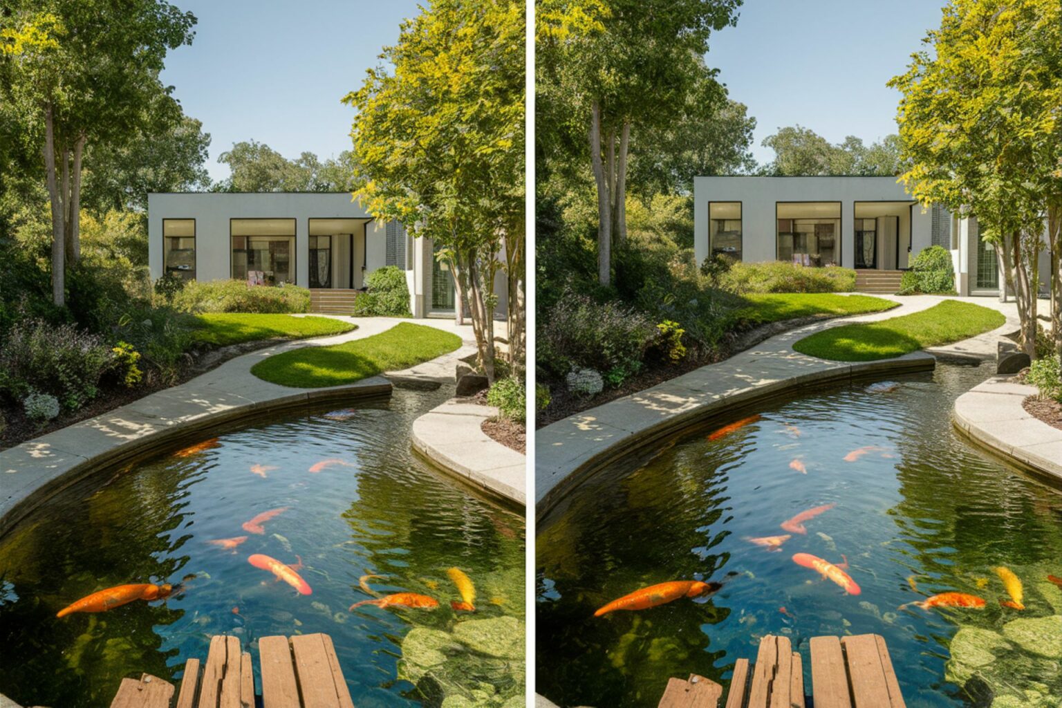 Construcción de un Estanque para Peces: Guía Paso a Paso