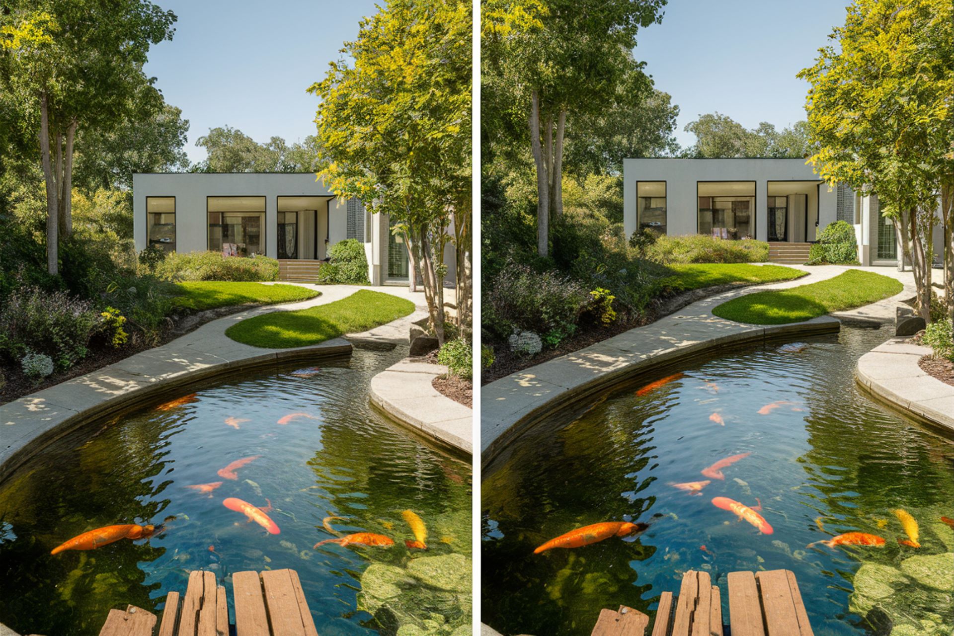 Construcción de un Estanque para Peces: Guía Paso a Paso